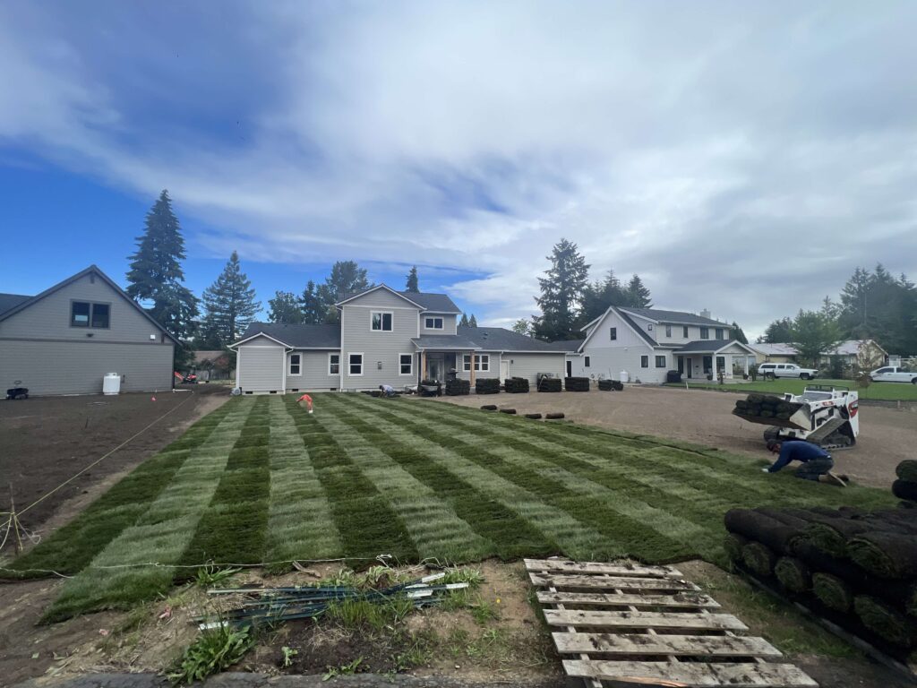 Olympia residential Sod Installation Project